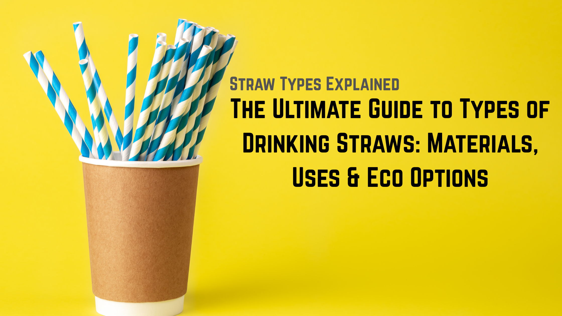 The Ultimate Guide to Types of Drinking Straws: Materials, Uses & Eco ...